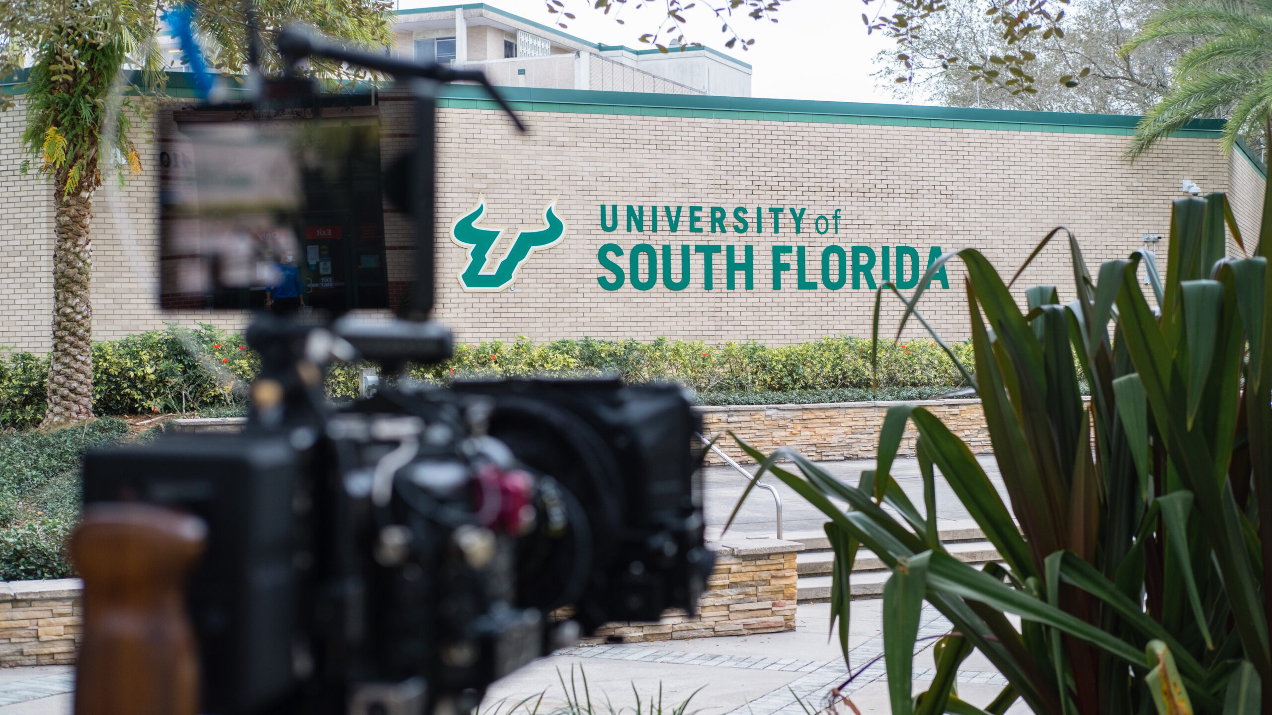 USF CBCS | School Of Aging Studies | Two Stories Media